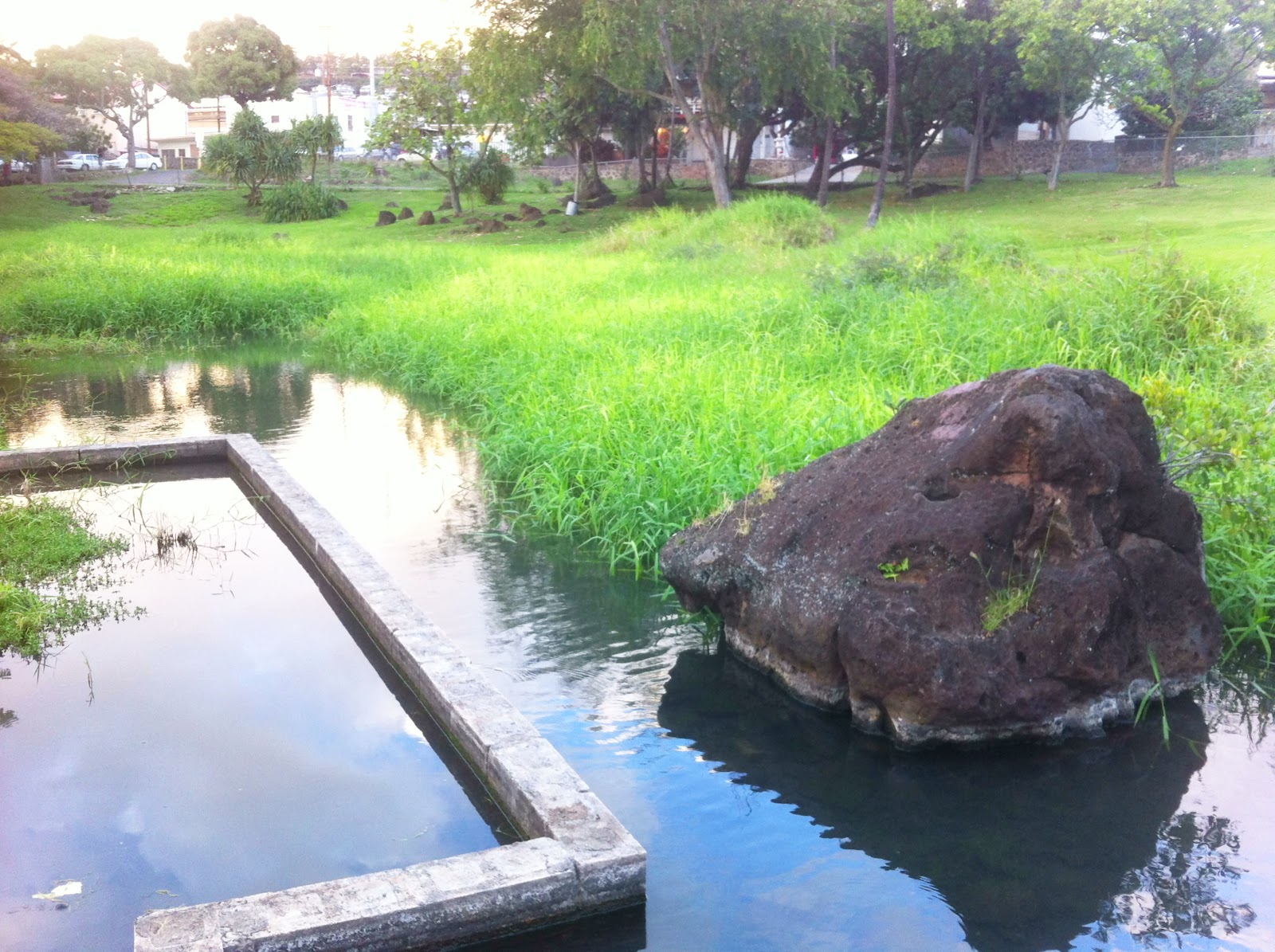 Pohukaina Cave: Kapalama